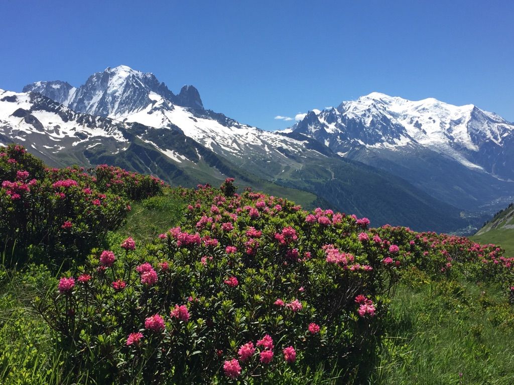 Top 5 Hikes and Walks around Chamonix-Mont-Blanc | Komoot