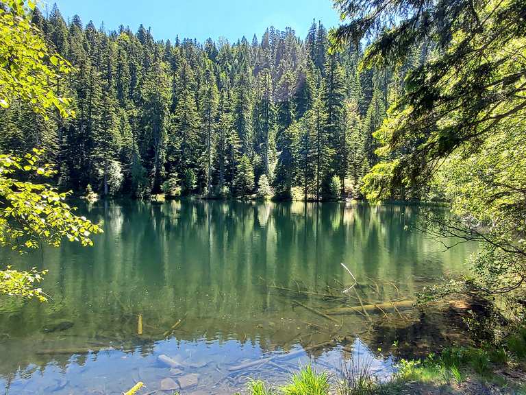 Top 10 Hikes and Walks around Moussey | Komoot