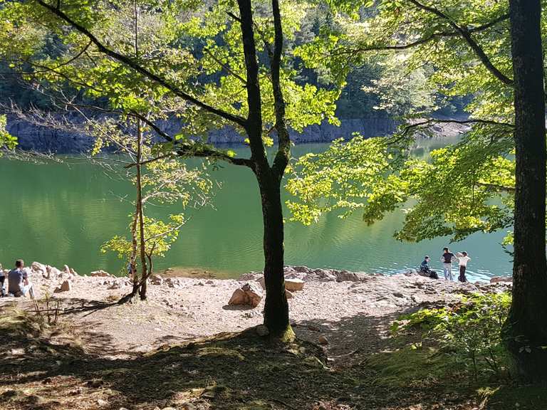 Top 10 randonnées et balades autour de Bussang | Komoot