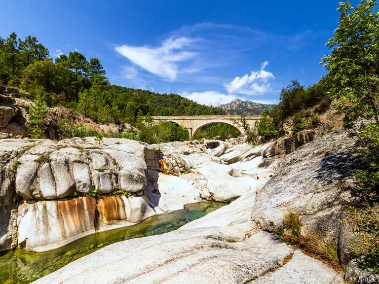 Top 10 randonnées et balades autour de Lecci | Komoot