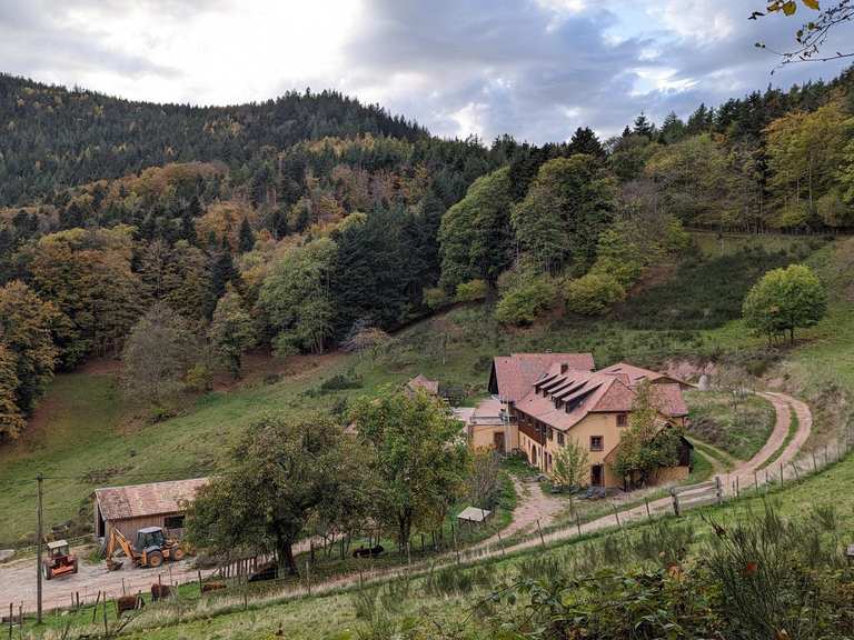Les 20 meilleures attractions et ce qu'il faut voir autour de Rodern ...
