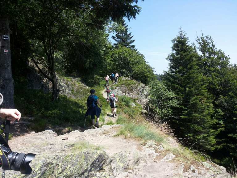 Die 7 schönsten Wanderungen rund um Wegscheid | Komoot
