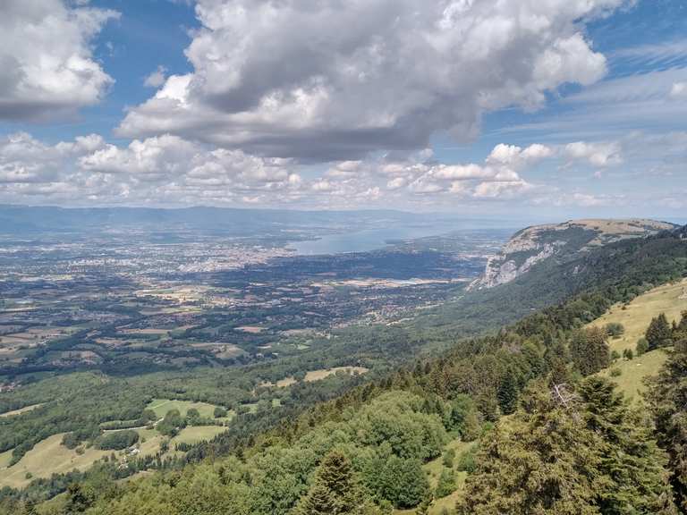 Top 7 Hikes and Walks around Neydens | Komoot