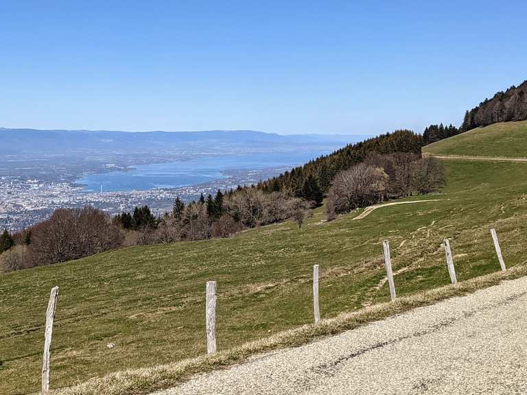 Die 14 schönsten Fahrradtouren rund um Neydens | Komoot