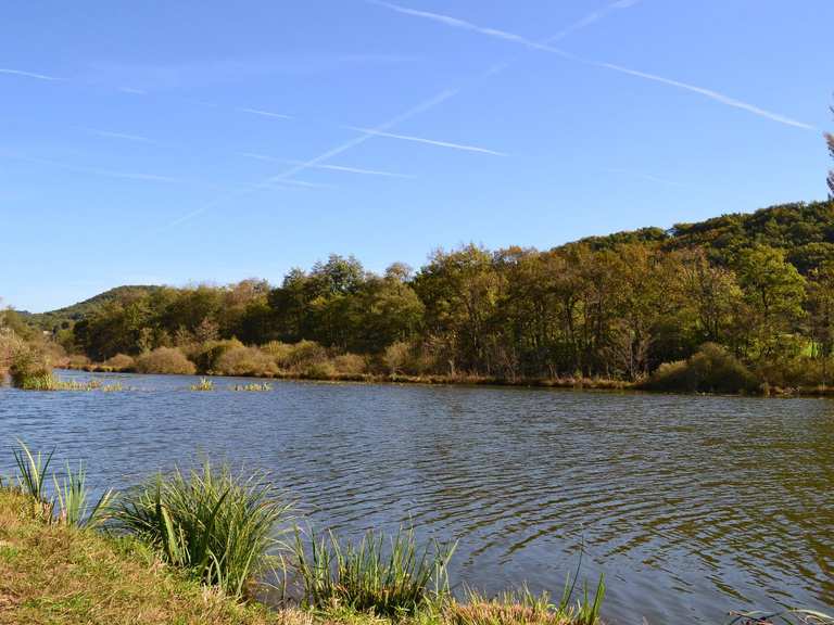 Ausflugsziele rund um Panossas - Die Top 20 | Komoot