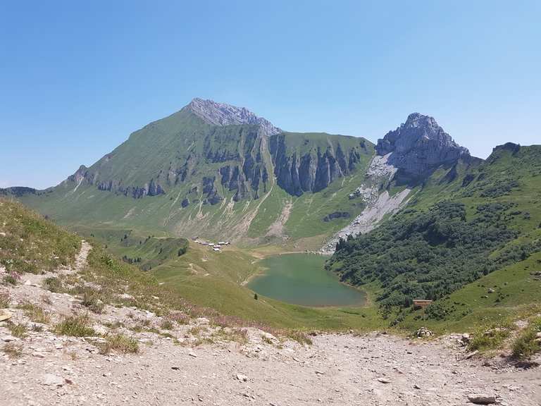 Top 10 randonnées et balades autour de Le Reposoir | Komoot