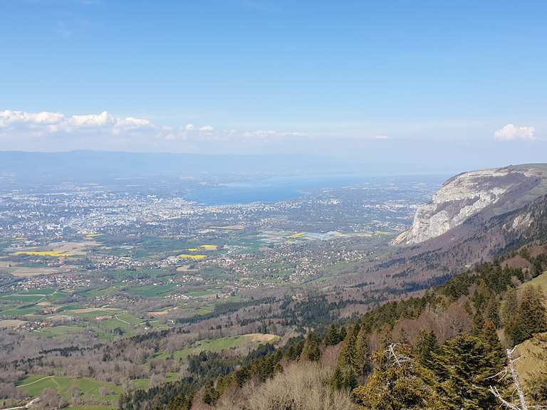 Top 10 randonnées et balades autour de Cruseilles | Komoot