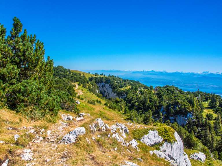 Les plus belles promenades et randonnées autour de Mijoux | Komoot