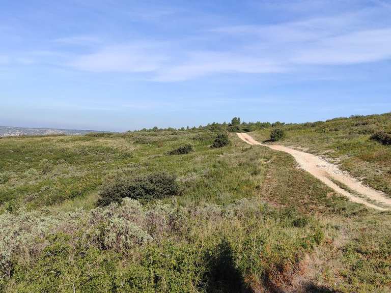 Top 10 randonnées et balades autour de Ventabren | Komoot