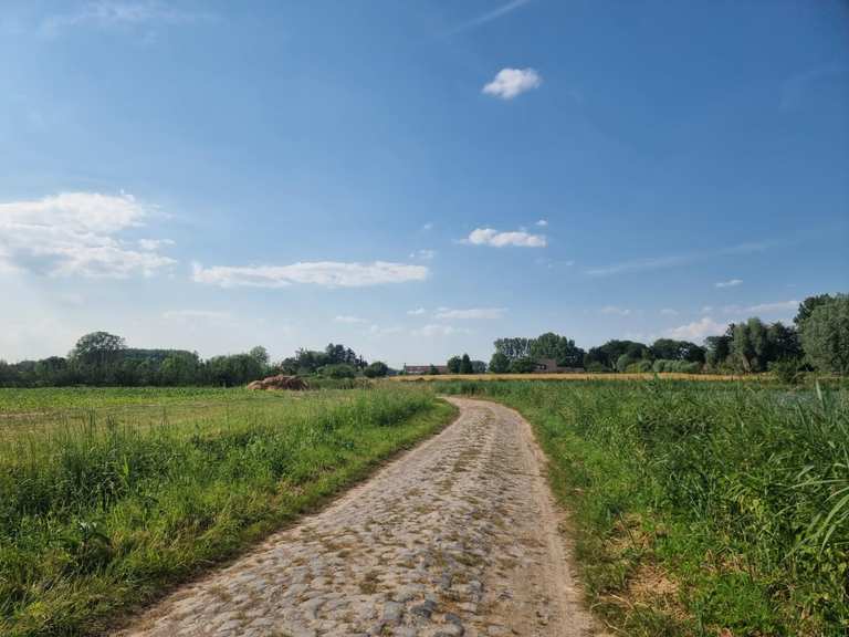 Top 10 rando VTT et circuits autour de Templeuve-en-Pévèle ...
