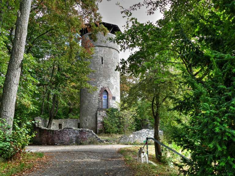 Die 10 schönsten Wanderungen rund um Pforzheim | Komoot Die 10 schönsten Wanderungen rund um Pforzheim | Komoot