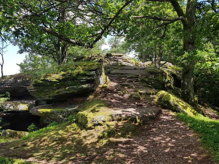 Die 10 schönsten Mountainbike-Touren rund um Zabern | Komoot