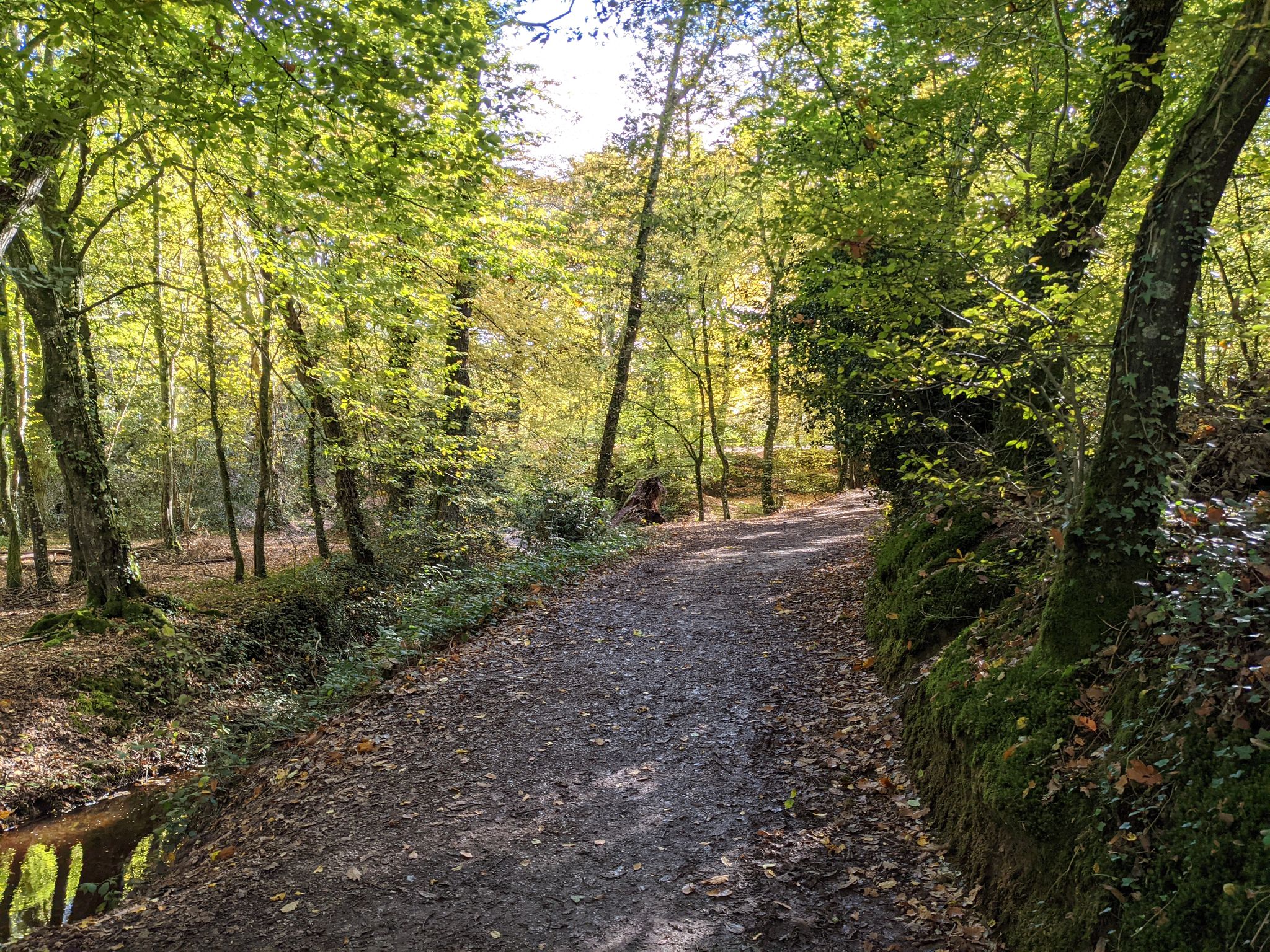 Top 10 randonnées et balades autour de Vannes | Komoot