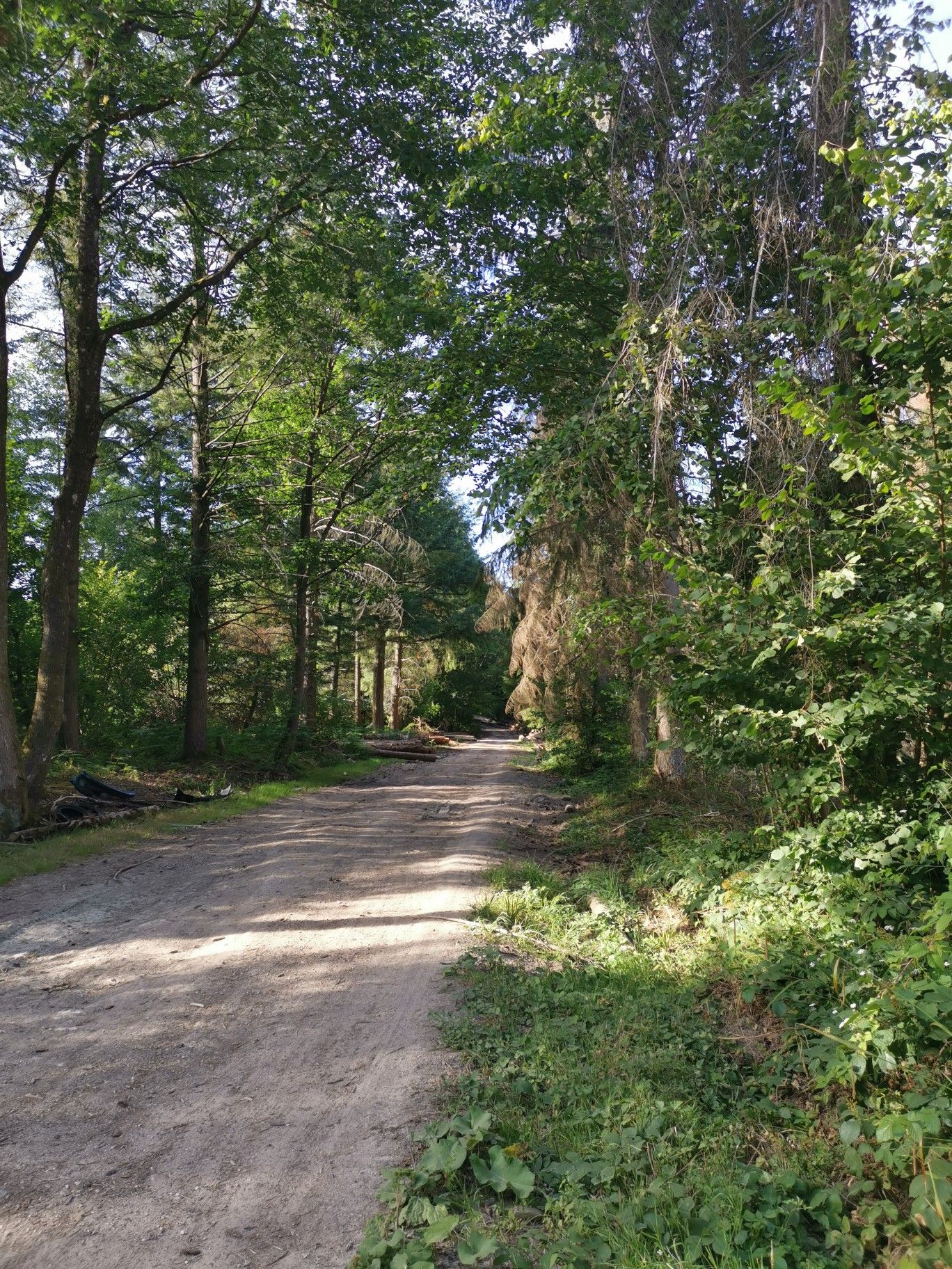 Top 10 Bike Rides and Cycling Routes around Reims | Komoot