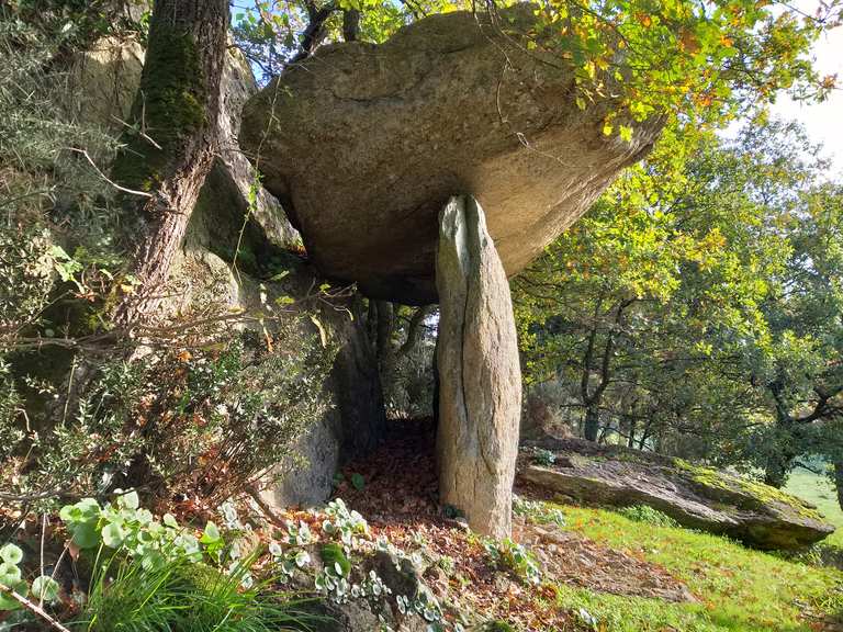 Top 10 randonnées et balades autour de Cholet | Komoot