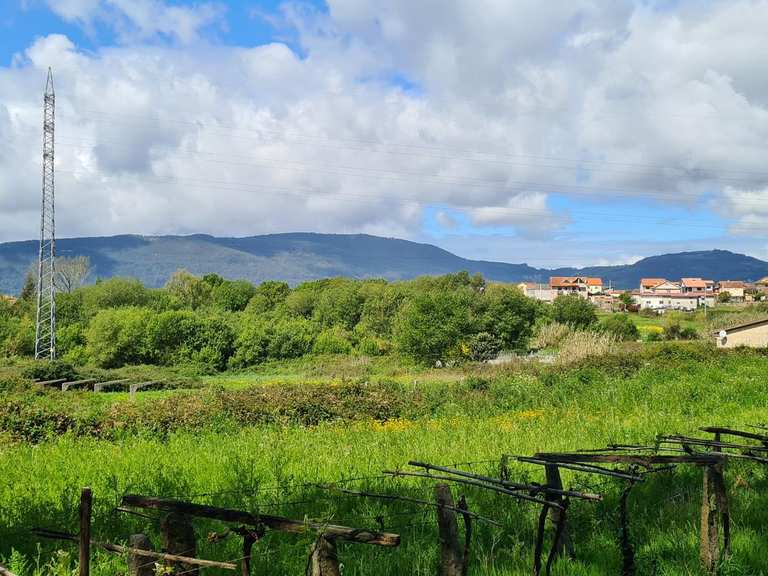 Los mejores sitios que ver en Pazos de Borbén - Top 20 | Komoot