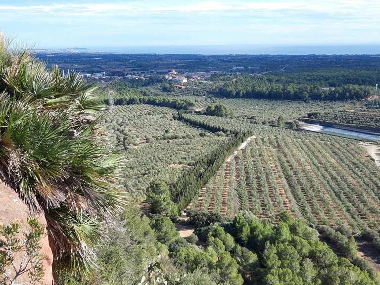 Los mejores sitios que ver en Mont-roig del Camp - Top 20 | Komoot