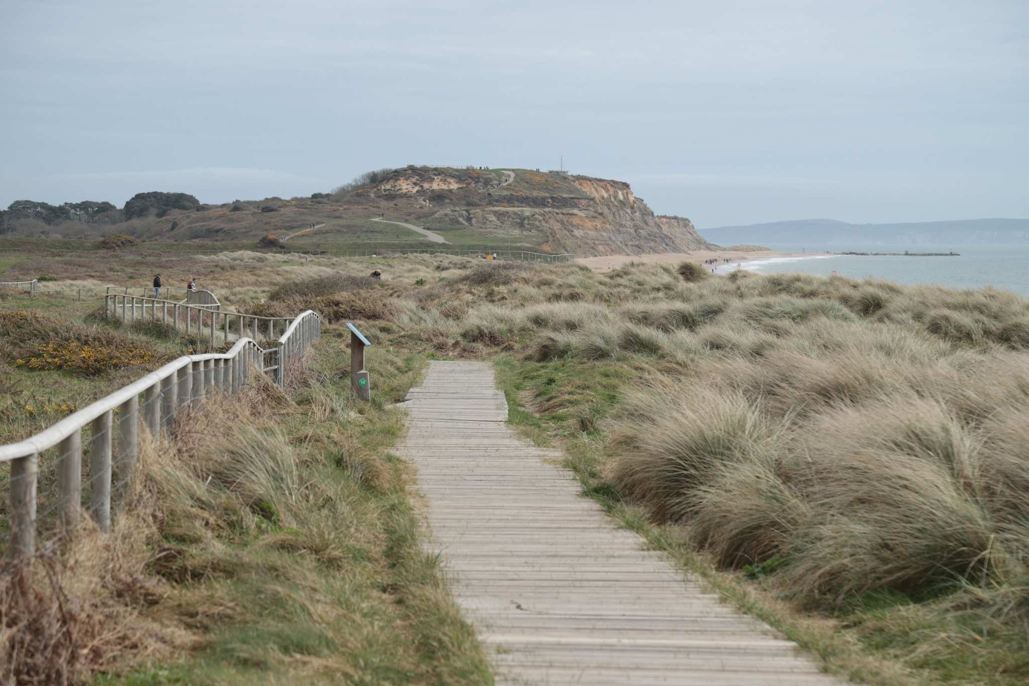 Top 20 Hikes and Walks around Bournemouth | Komoot