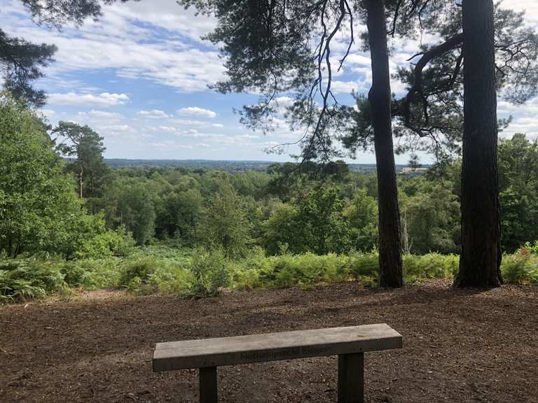 Top 10 Hikes and Walks in Bracknell | Komoot