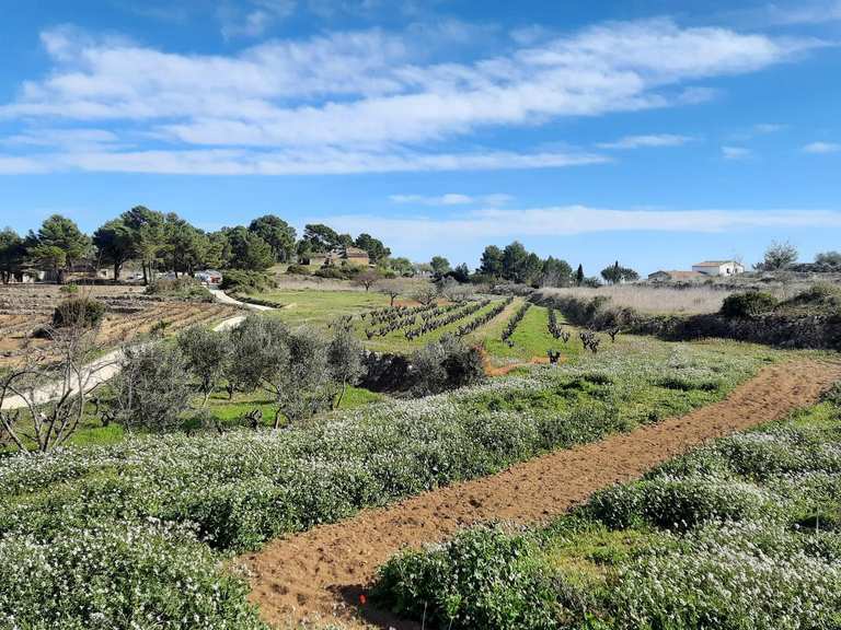 Attractions and Places To See around Xaló - Top 20 | Komoot