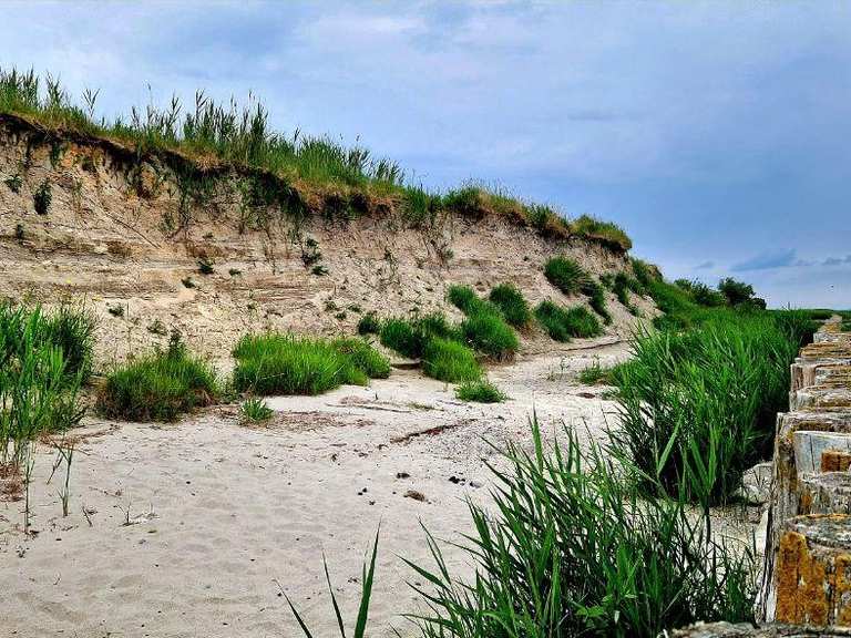 Die 10 schönsten Wanderungen rund um die Insel Koos, Kooser See und ...