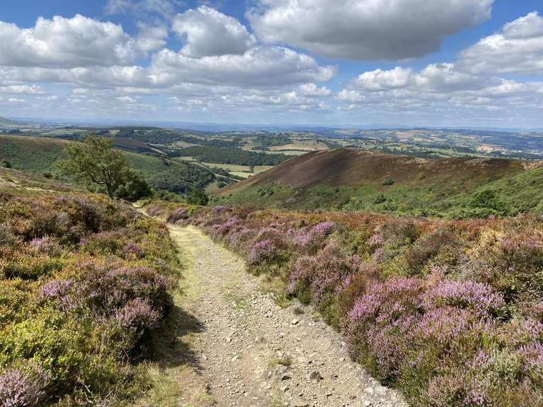 The best MTB trails around Stiperstones National Nature Reserve | Komoot