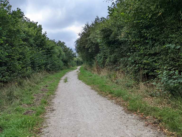 Top 10 Hikes and Walks around Goss Moor Nature Reserve | Komoot