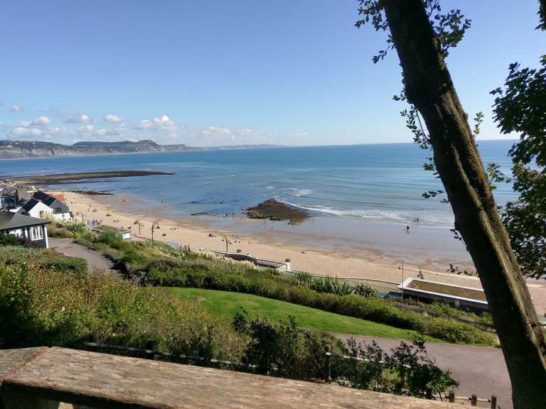 Top 20 Bike Rides and Cycling Routes around Lyme Bay and Torbay Special ...