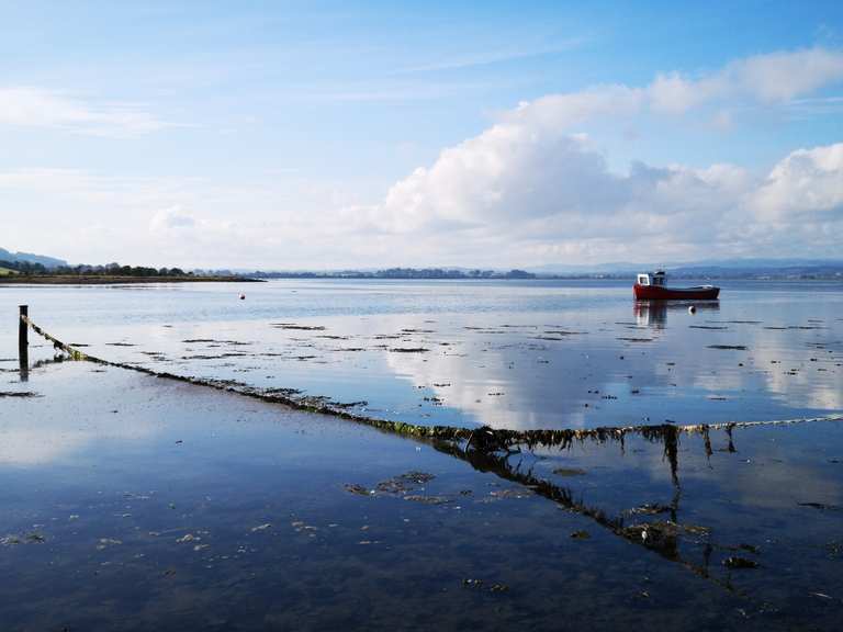 Top 10 Hikes and Walks around Montrose Basin Local Nature Reserve | Komoot