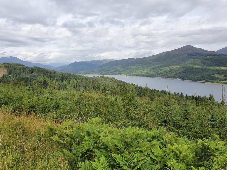 Die 8 schönsten Laufstrecken rund um die Flanders Moss National Nature ...