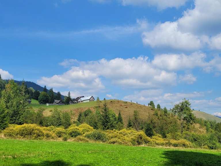 Top 5 Hikes and Walks around Codrul Secular Slătioara | Komoot