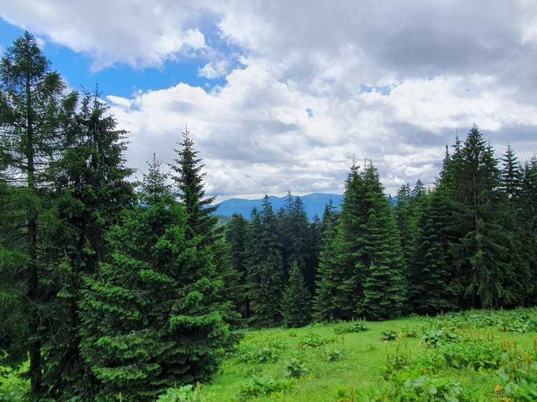 Top 7 Running Trails around Bucegi | Komoot