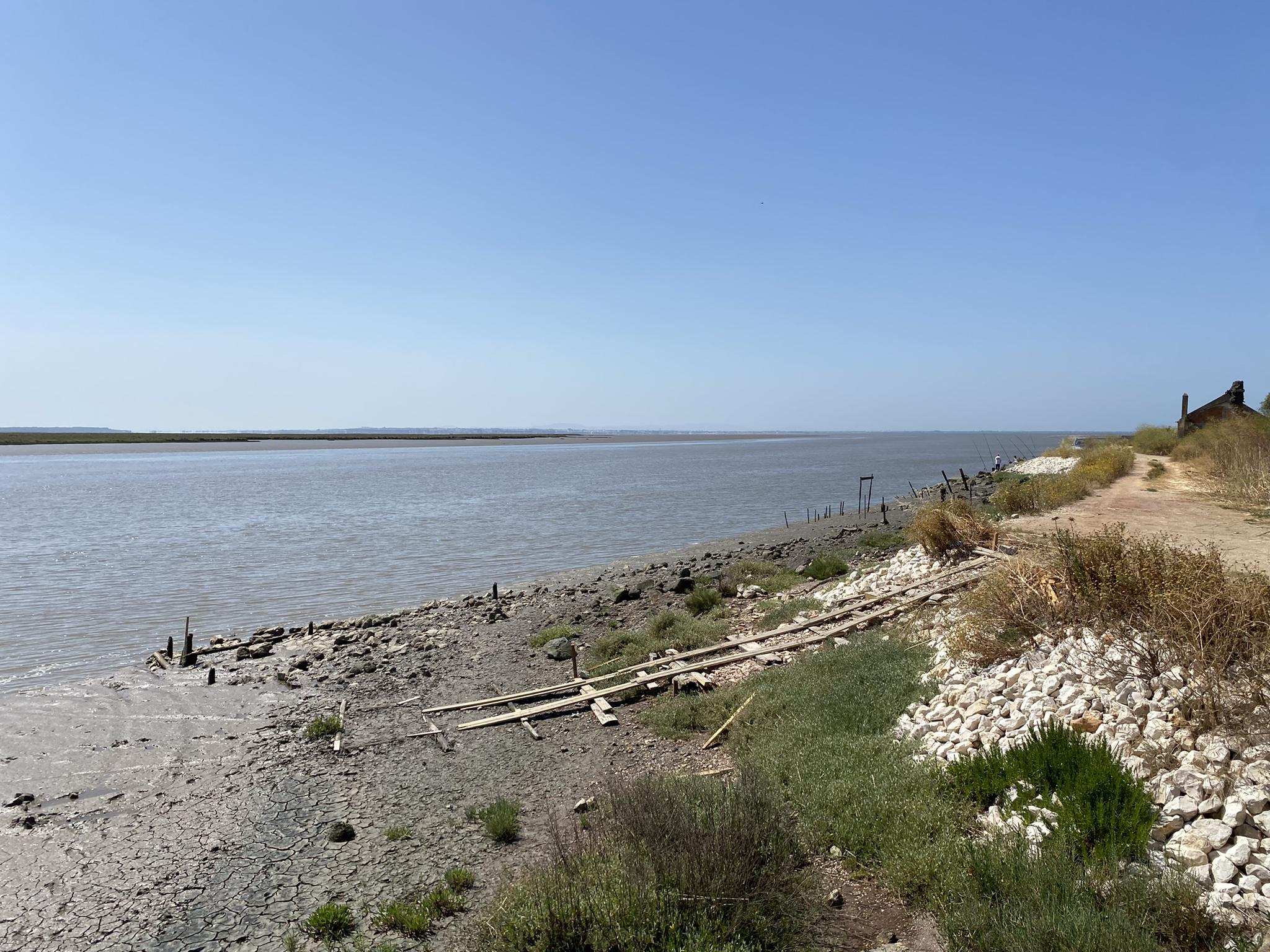 Top 8 Hikes and Walks around Reserva Natural do Estuário do Tejo | Komoot