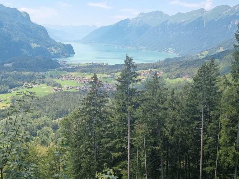 Die 10 schönsten Wanderungen rund um Brienzwiler | Komoot