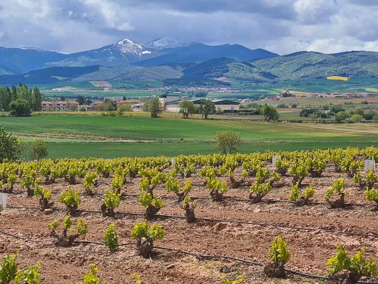 Los mejores sitios que ver en Canillas de Río Tuerto - Top 20 | Komoot