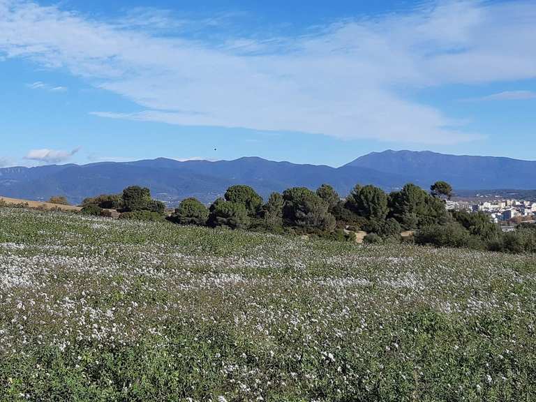 Los mejores sitios que ver en Canovelles - Top 20 | Komoot