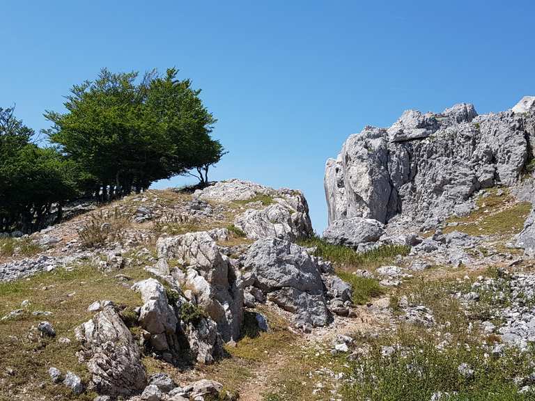 Top 10 Hikes and Walks around National Park Urbasa-Andia / Urbasa-Andia ...