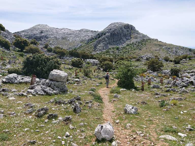 Top 5 Hikes and Walks around Villaluenga Del Rosario | Komoot