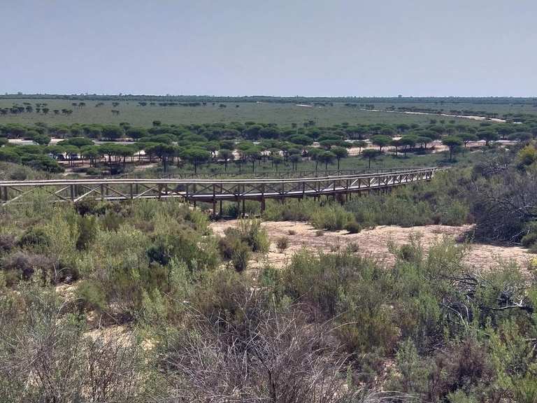 Die 8 schönsten Wanderungen rund um den National Park Doñana | Komoot