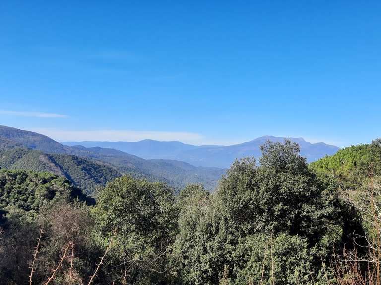 Top 5 Hikes and Walks around Parc del Montnegre i el Corredor | Komoot