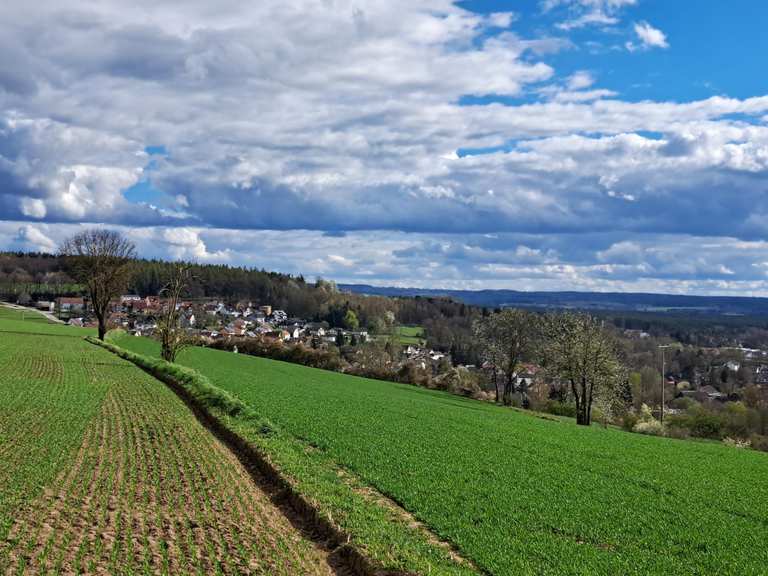 De bästa promenaderna och vandringarna runt Bruck in der Oberpfalz | Komoot