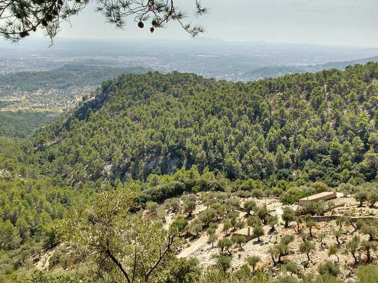 Los mejores sitios que ver en Mancor de la Vall - Top 20 | Komoot