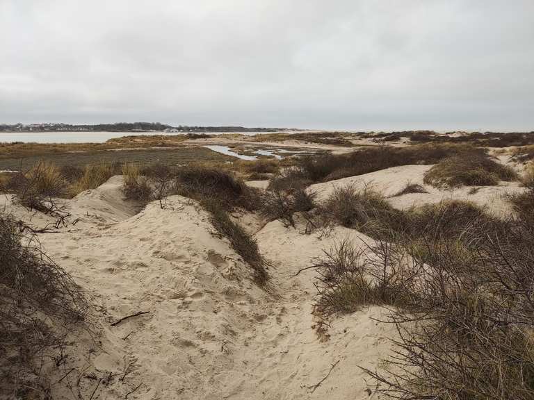Top 10 randonnées et balades autour de la Réserve Naturelle de la Baie ...