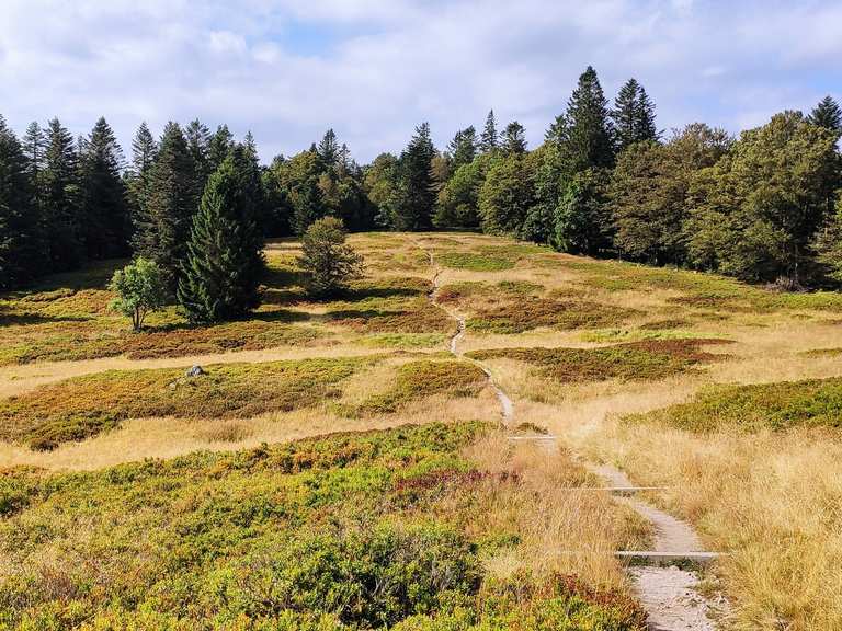 Les plus belles promenades et randonnées autour de la Réserve Naturelle ...