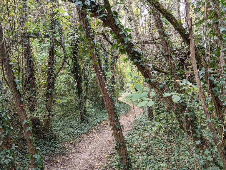 Die 8 schönsten Wanderungen rund um den Parco Fluviale Regionale del ...