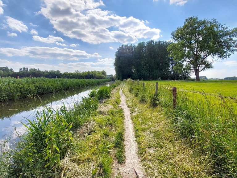 Die 10 schönsten Wanderungen rund um Kalkense Meersen | Komoot