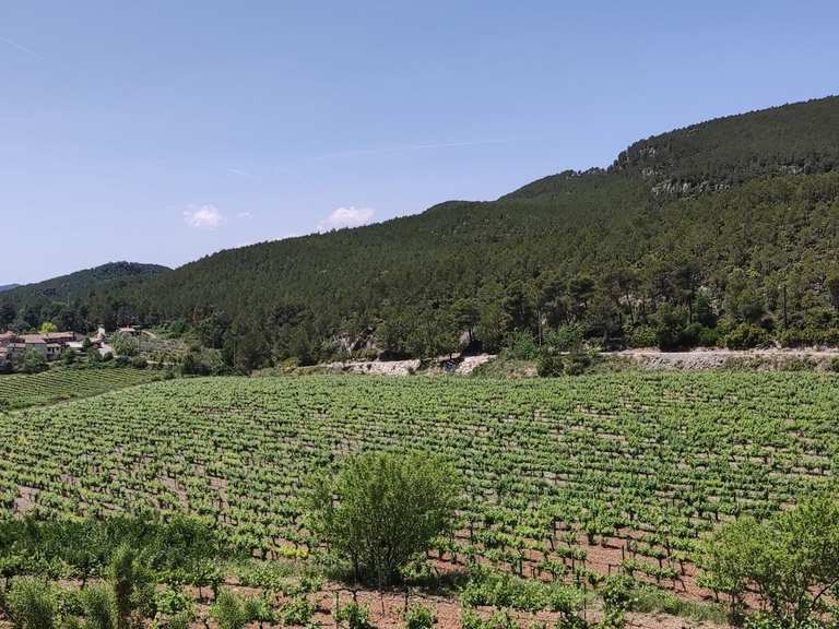 Los mejores sitios que ver en Pontons - Top 20 | Komoot
