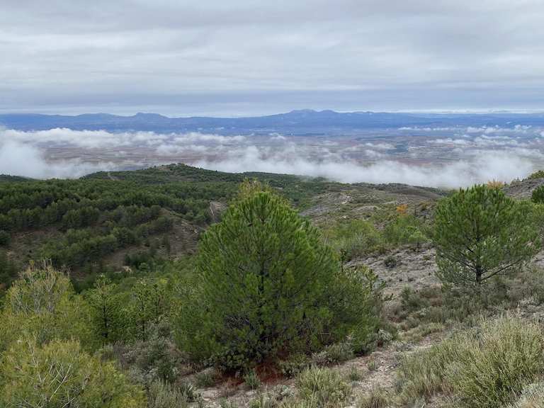 Attractions and Places To See around Lagunilla Del Jubera - Top 20 | Komoot