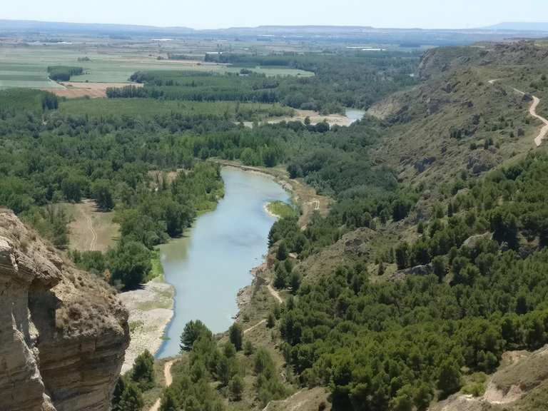 Los mejores sitios que ver en Caparroso - Top 20 | Komoot