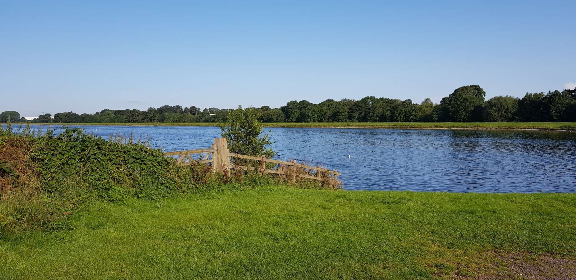 Top 10 Hikes and Walks in the West Midlands Region | Komoot